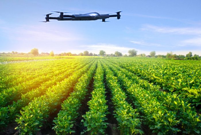 Drones for Farm Security Monitoring | ZenaDrone Inc.