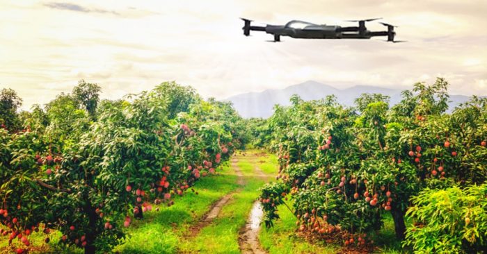 Top 10 Uses and Benefits in Fruit Farming and Production