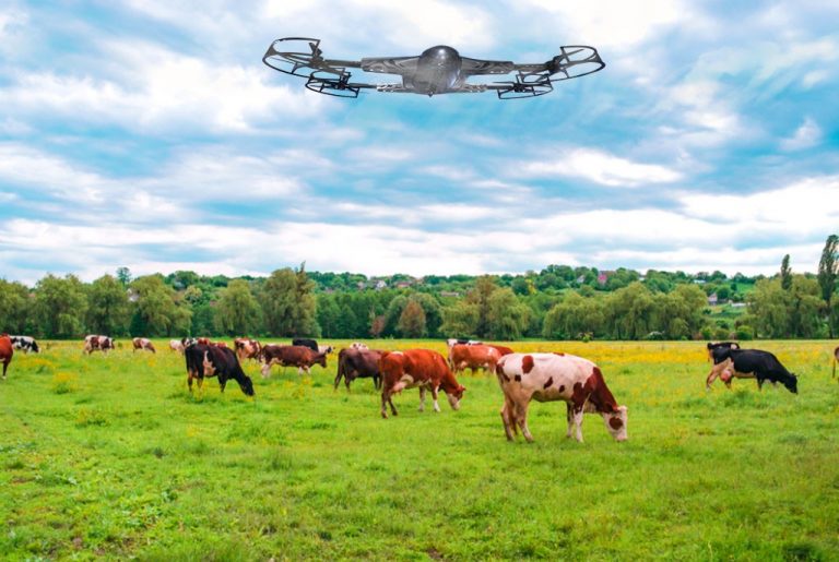 Search Drones for Lost Cattle | ZenaDrone Inc.